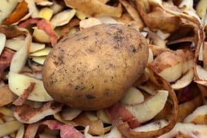 Composting Potato Peels: The Do's And Don't's - Composthq