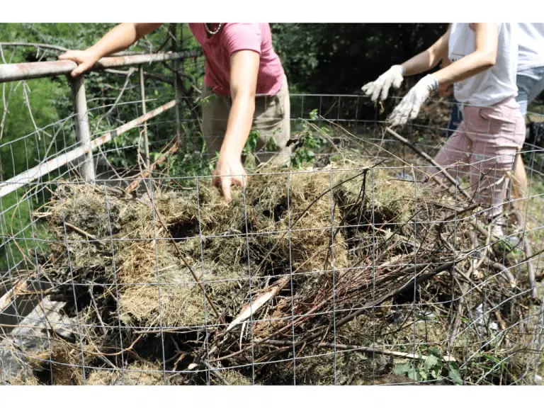 Composting Schedule And Time Frame (When Should I Start?) - Composthq